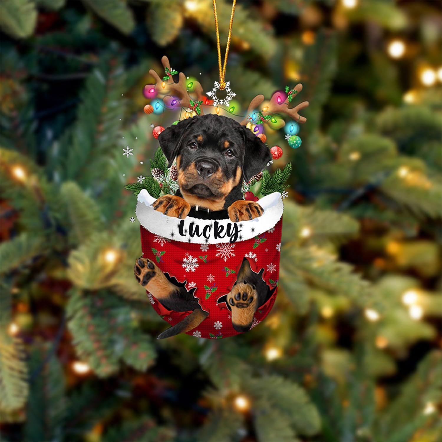 Amazon.com: Personalized Dog Christmas Ornament, Rottweiler in Snow ...