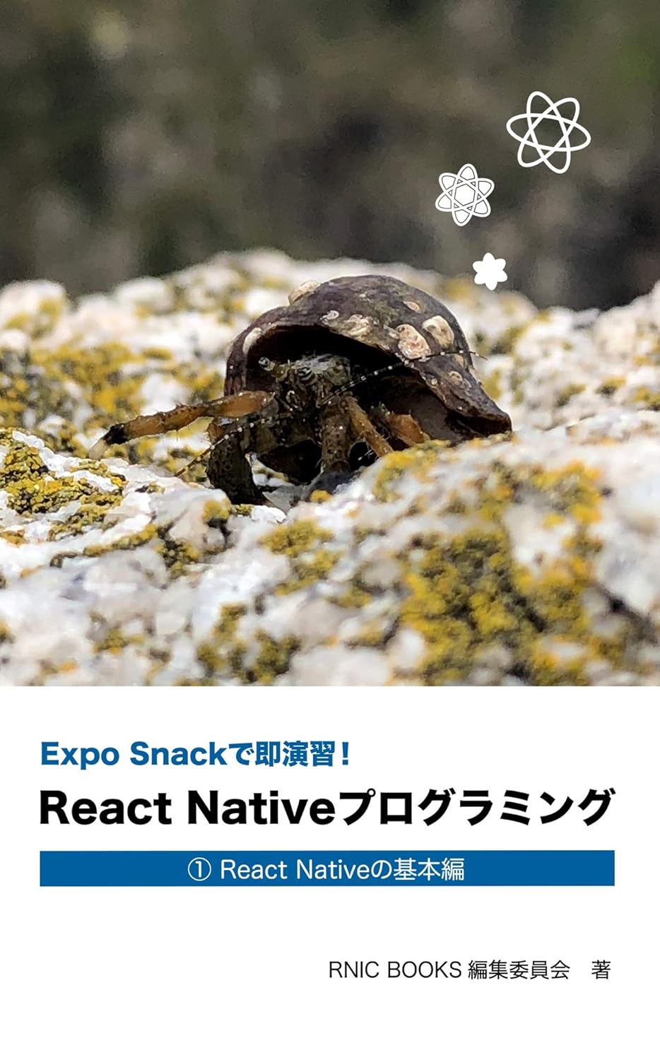 React Native Programming with Expo Snack: Basics on React Native ...