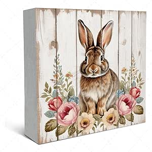 Amazon.com: KoneFeco Rustic Wooden Box Sign Rabbit Wooden Block Sign ...
