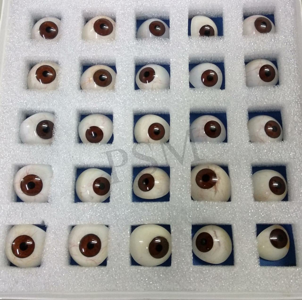 PSM® Realistic Artificial Eyes BROWN Colour 25pc Set Human Prosthetics ...