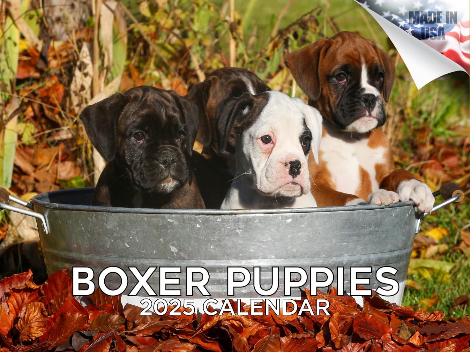 Amazon.com: 2024 2025 Boxer Puppies Calendar - Dog Breed Monthly Wall ...