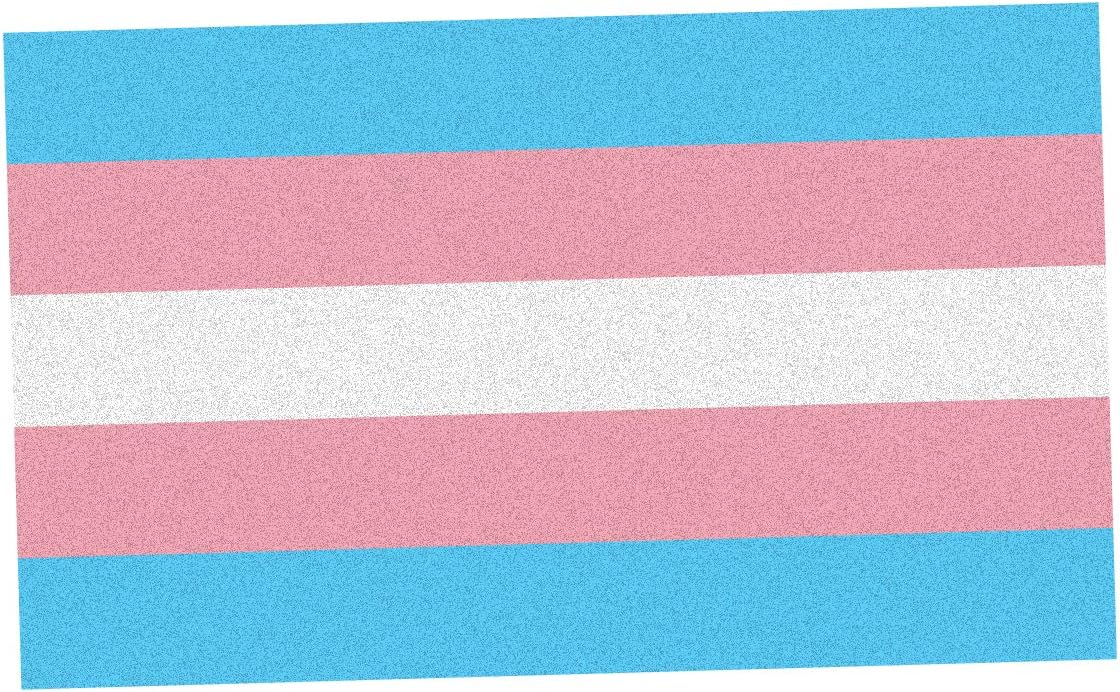 Amazon.com - HSQCEZ 5 Pcs Rainbow Pride Transgender Flag Vinyl Decal ...