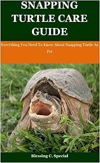 Snapping Turtle Care: A Beginner's Guide To Raising Them Right | PetShun