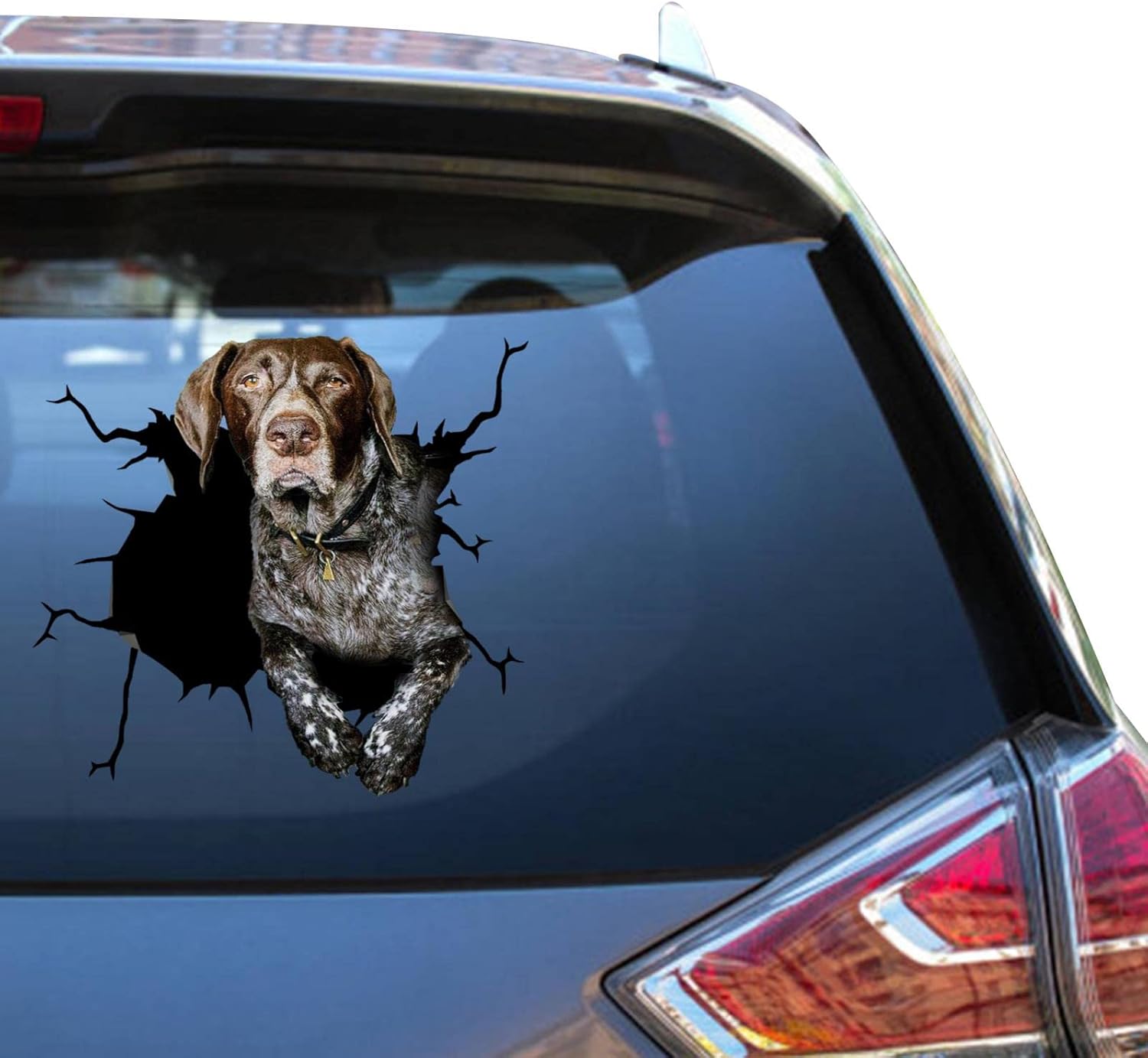 Amazon.com: German Shorthaired Pointer Car Sticker German Shorthair ...