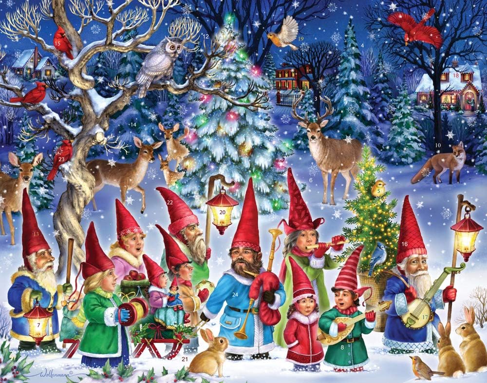 Amazon.com: North Pole Pets Advent Calendar (Countdown to Christmas ...