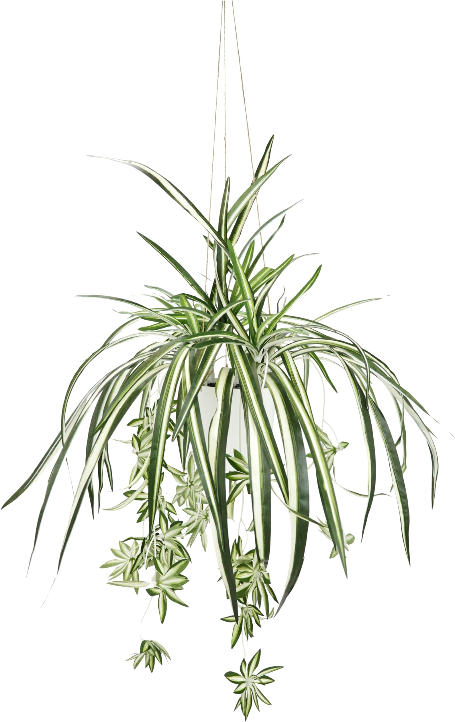 Plante artificielle plante araignée avec suspension - Plante en soie ...