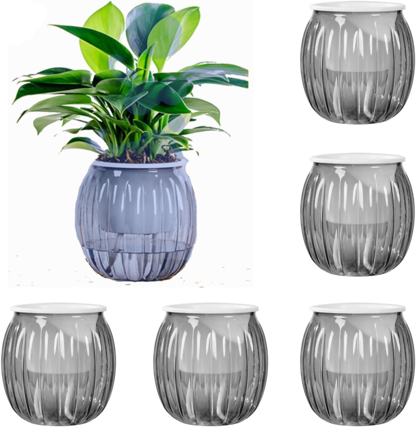Amazon.com: Self Watering Pots for Indoor Plants, Clear Flower Pots, 5 ...