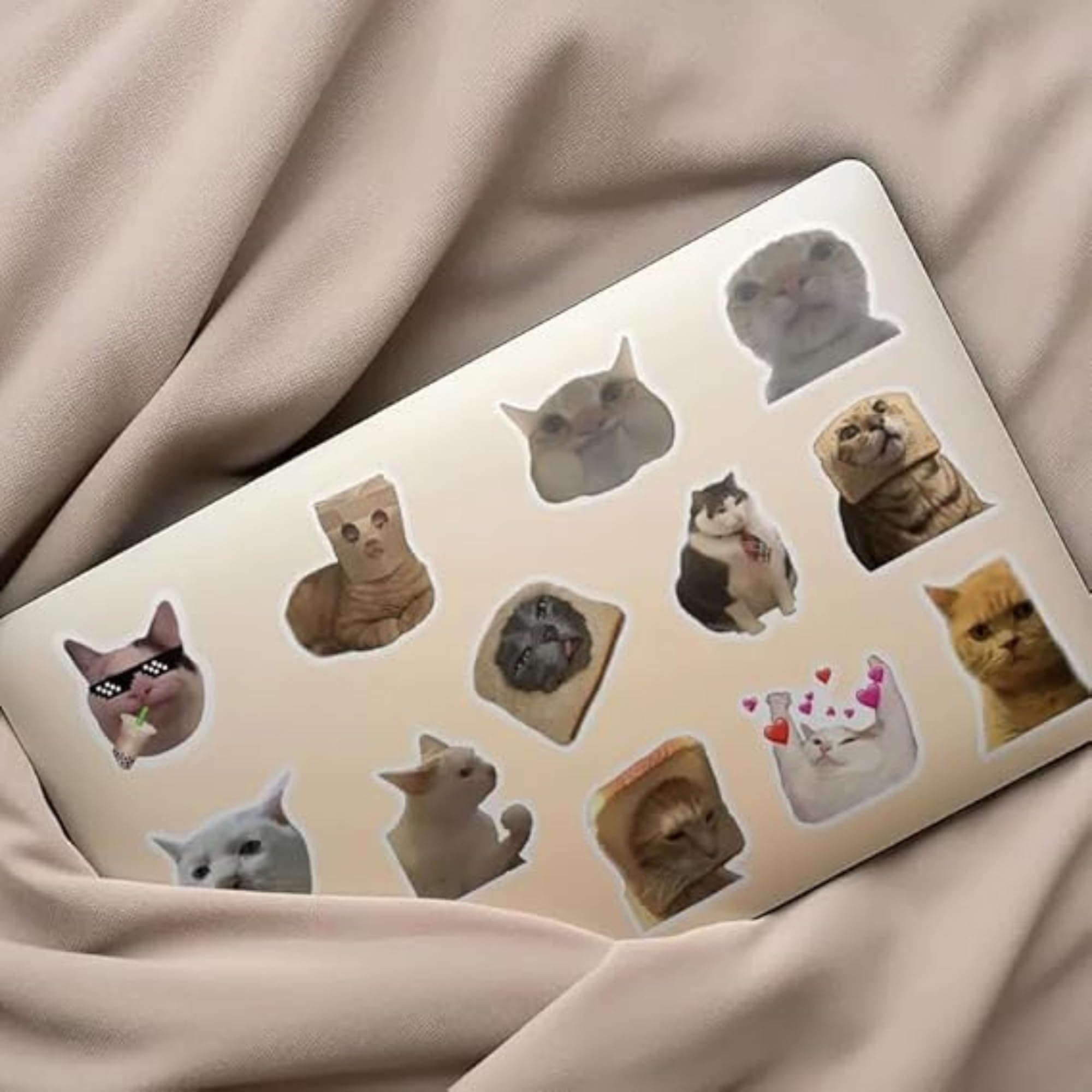 Snapklik.com : Cat Stickers,Funny Cat Meme, Kawaii For Adults ...