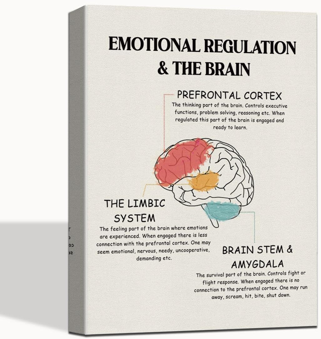 Amazon.com: Emotional Regulation & The Brain Canvas Poster, Canvas Wall ...