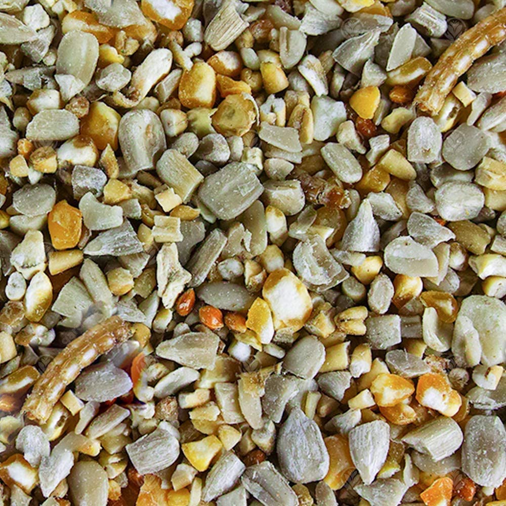 GardenersDream Robin & Songbird Mix | Nutritious Wild Bird Food for ...