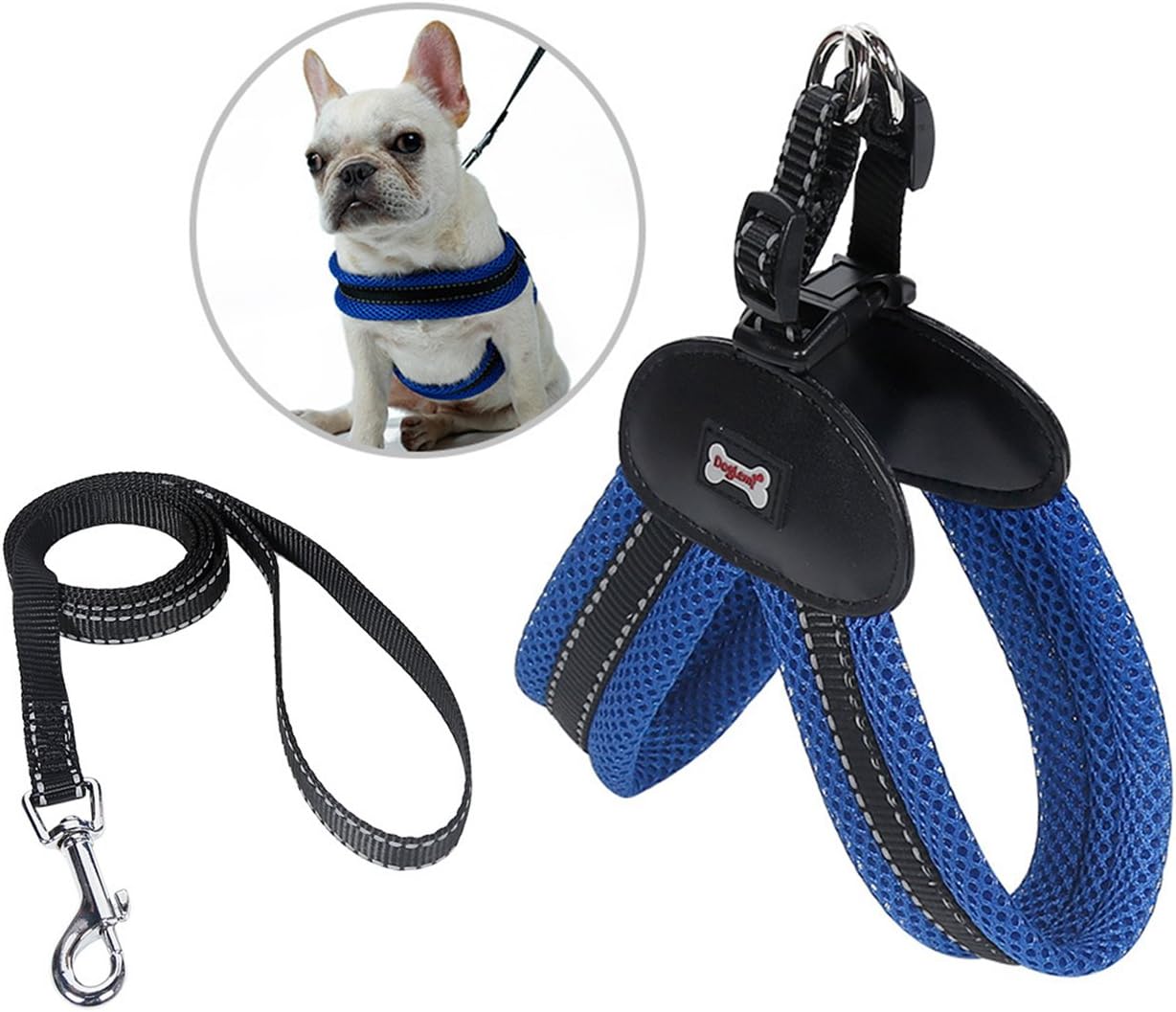 Amazon.com : Alfie Pet - Lark Harness and Leash Set - Color: Blue, Size ...