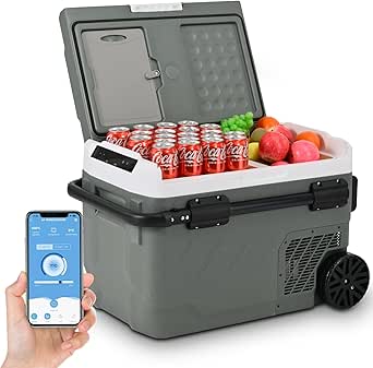 Alpicool 40L Car Refrigerator with APP Control 12V Fridge Freezer, Dual Zone Electric Cooler Box ...