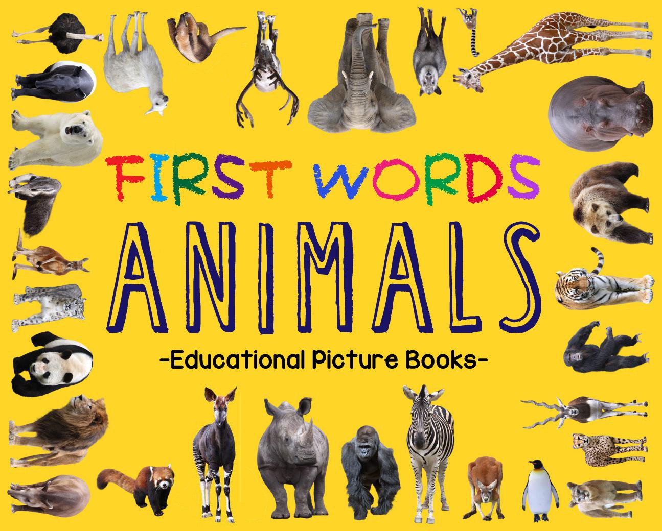 First Words Animal (Educational Picture Book 4) - Kindle edition by ABC ...
