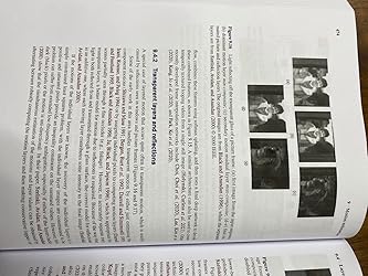 Computer Vision: Algorithms and Applications (Texts in Computer Science): Szeliski, Richard ...