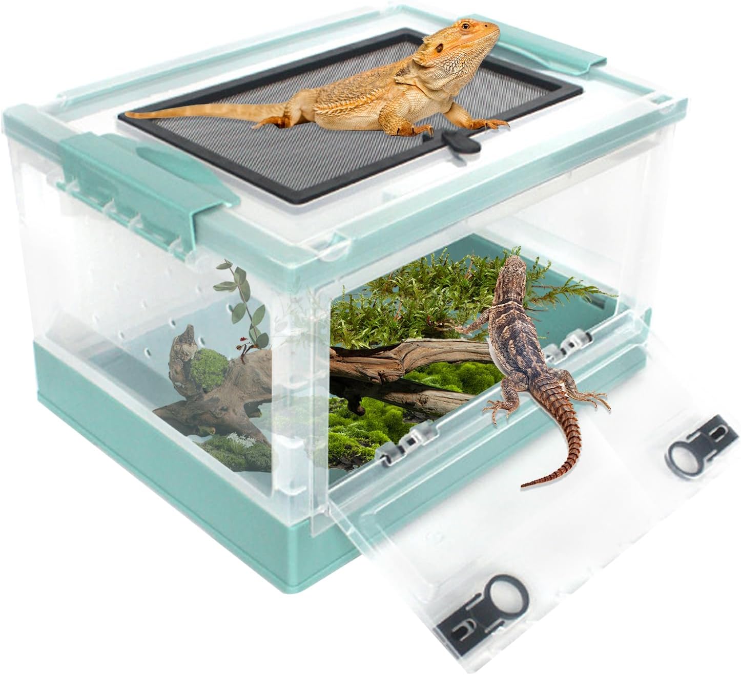 Amazon.com : PINVNBY Plastic Reptile Feeding Box with Wheels,Reptiles ...