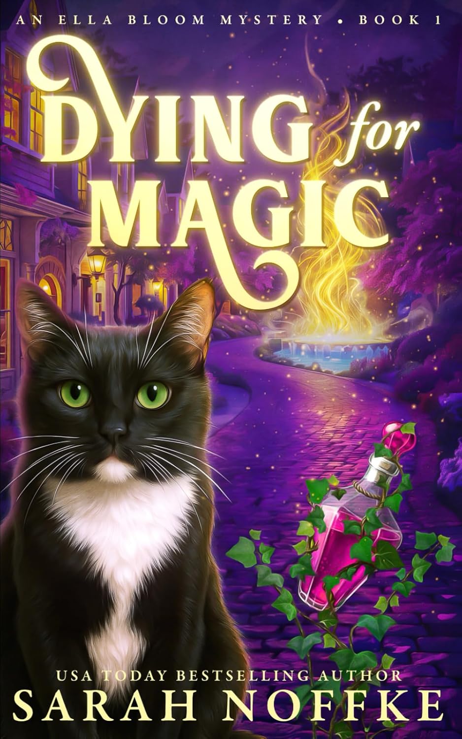 Dying For Magic: A Paranormal Cozy Mystery: 1 : Noffke, Sarah: Amazon ...
