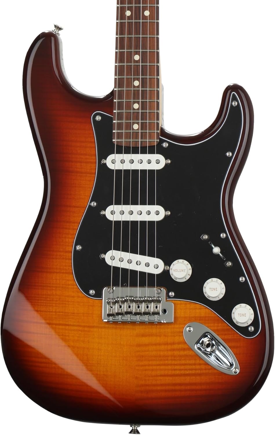 Amazon | Fender エレキギター Player Stratocaster® Plus Top, Pau Ferro ...