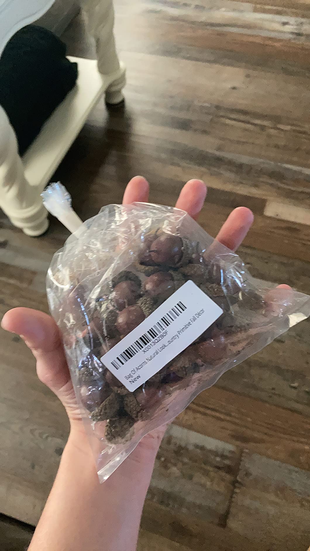 Amazon.com: Bag of Acorns Natural Look Resin Country Primitive Fall ...