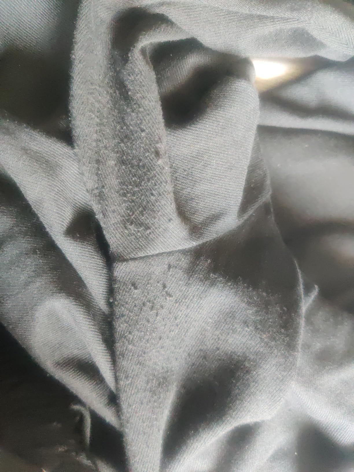 Cleesh Women's Regular Fit Track Pants (S-2021-W-Track-(2P)-Navy/Grey-S ...