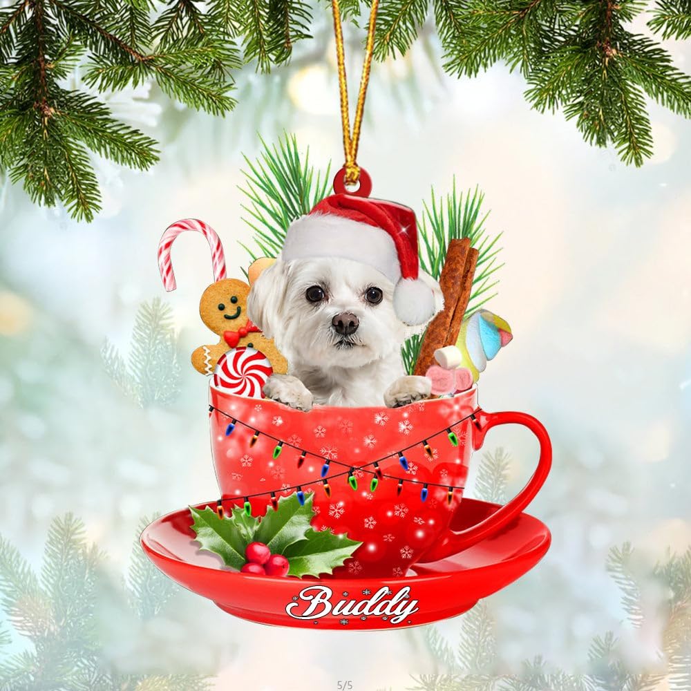 Amazon.com: White Maltese Dog Sitting in a Christmas teapot Ornament ...