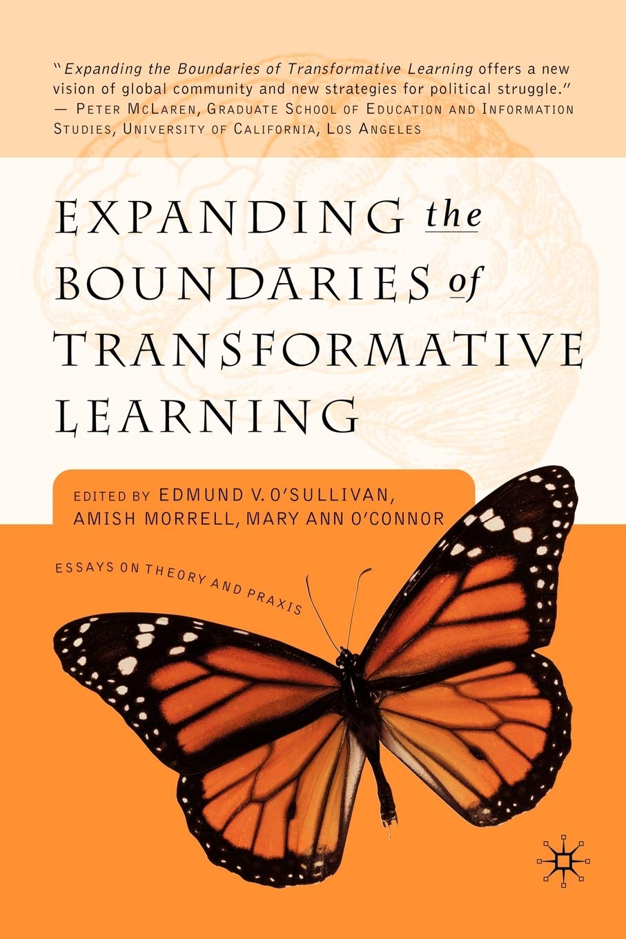 Expanding the Boundaries of Transformative Learning: Essays on Theory ...