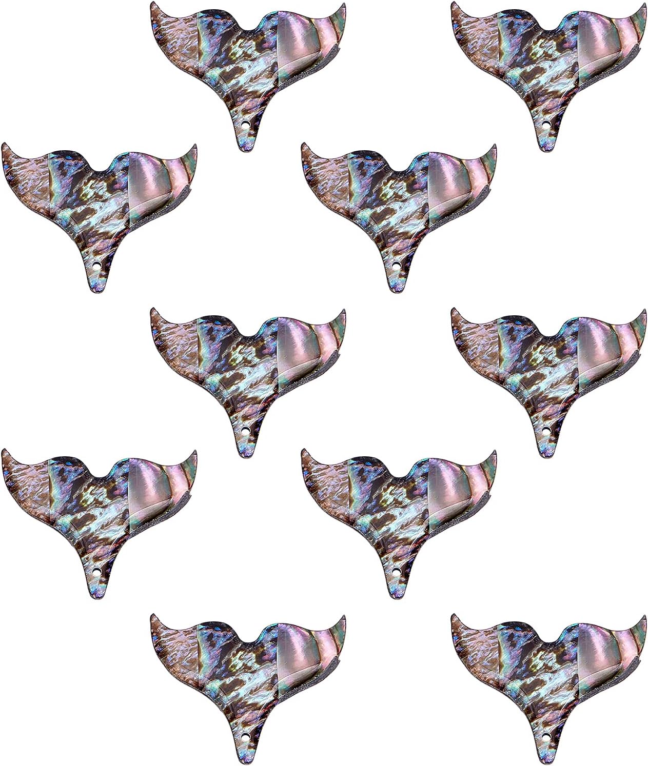 Amazon.com: BENECREAT 16PCS Natural Abalone Shell Fishtail Abalone ...