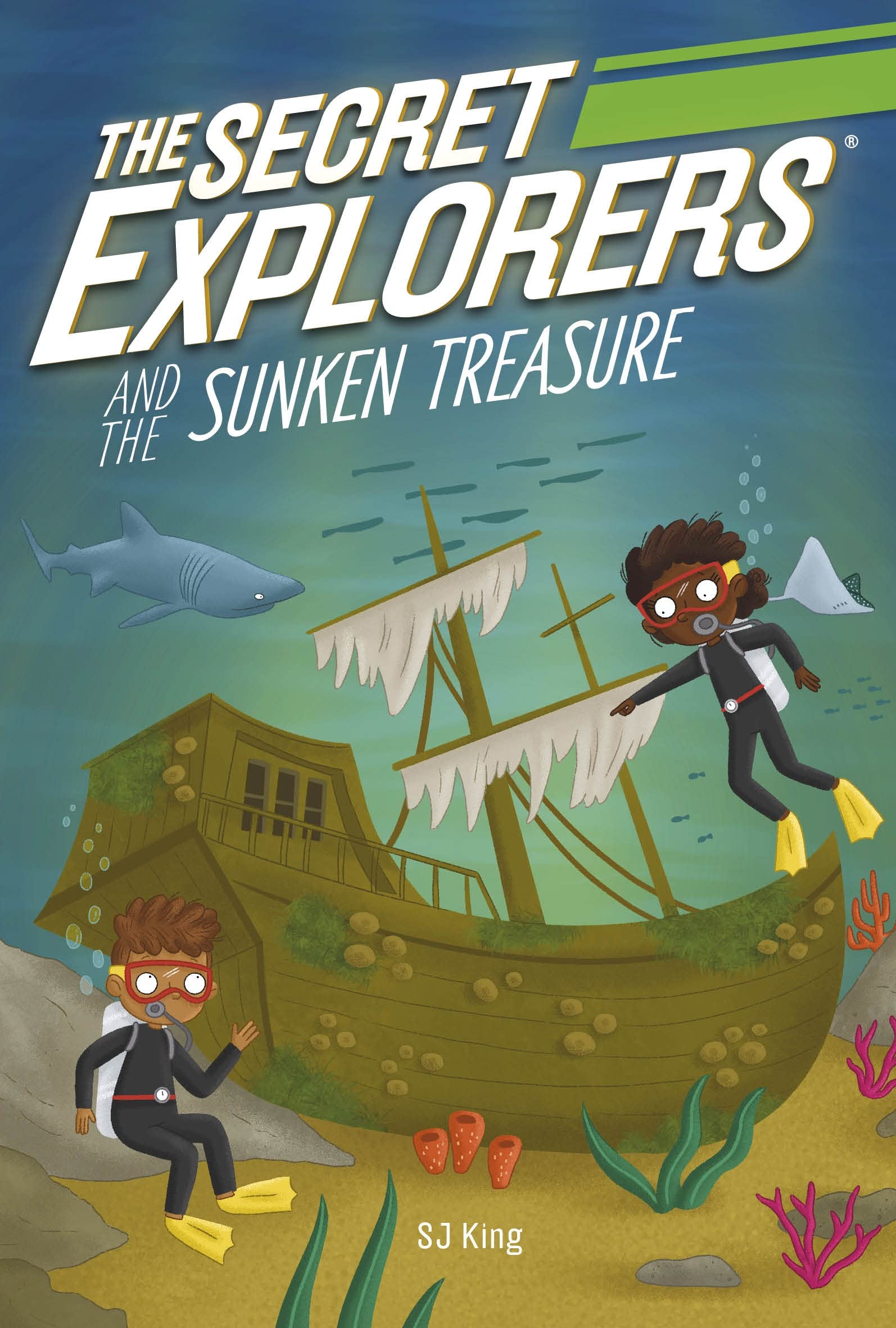 Amazon.com: The Secret Explorers and the Sunken Treasure: 9780744080391 ...