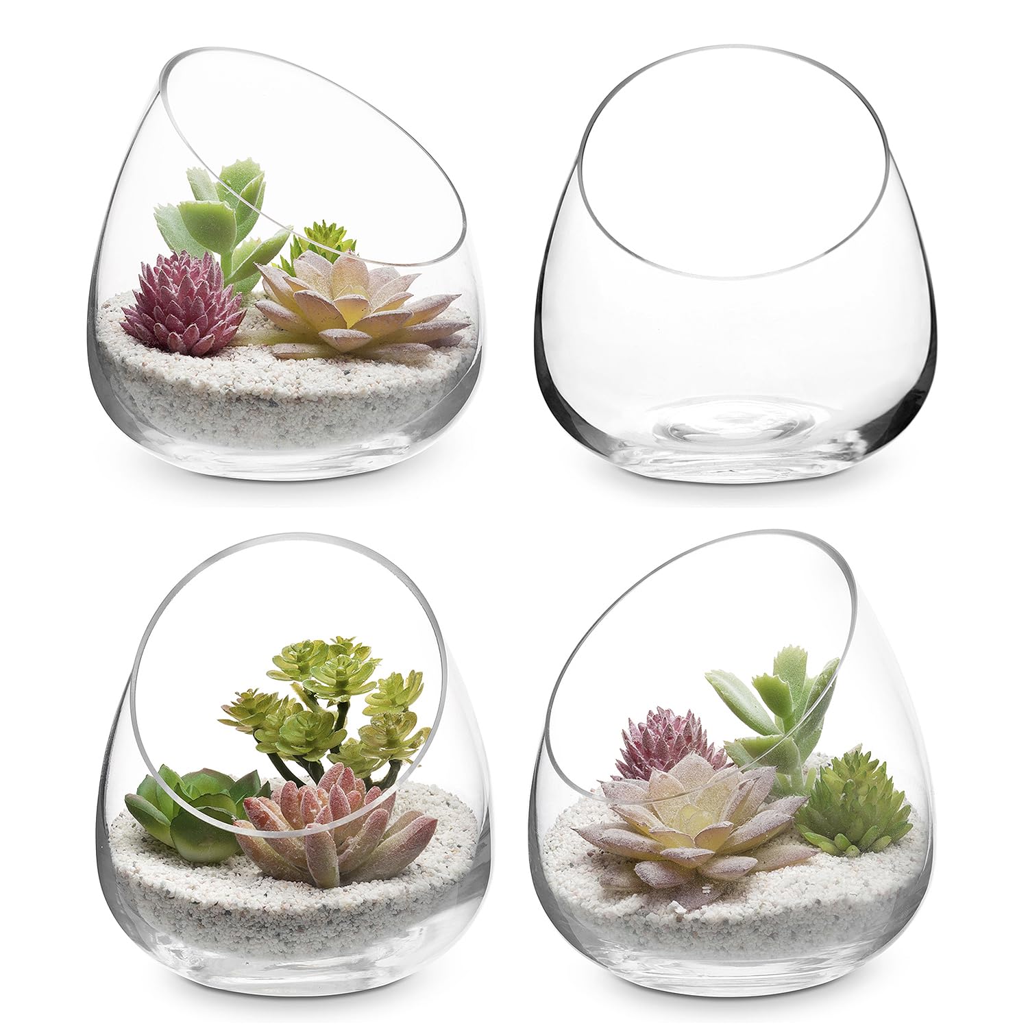 MyGift 5 Inch Premium Clear Glass Air Plant Terrarium, Mini Slant Cut ...