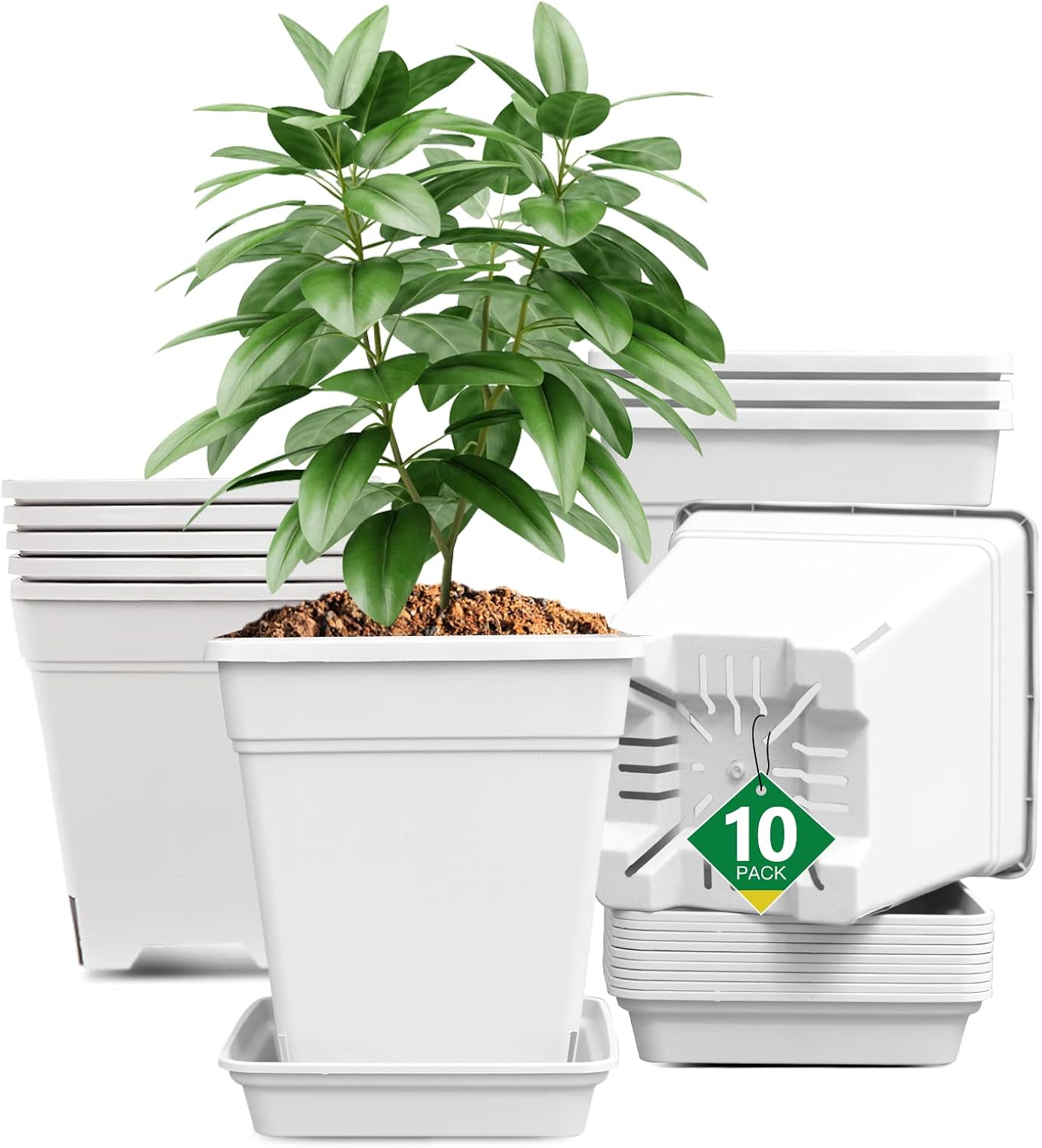 Amazon.com: REDMOL Plant Pots 9 Inch Set of 10 Pack Root Pruning ...