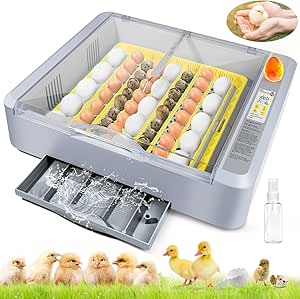 Amazon.com: Stondino Incubators for Hatching Eggs, 36 Egg Incubator with Automatic Egg Turning ...
