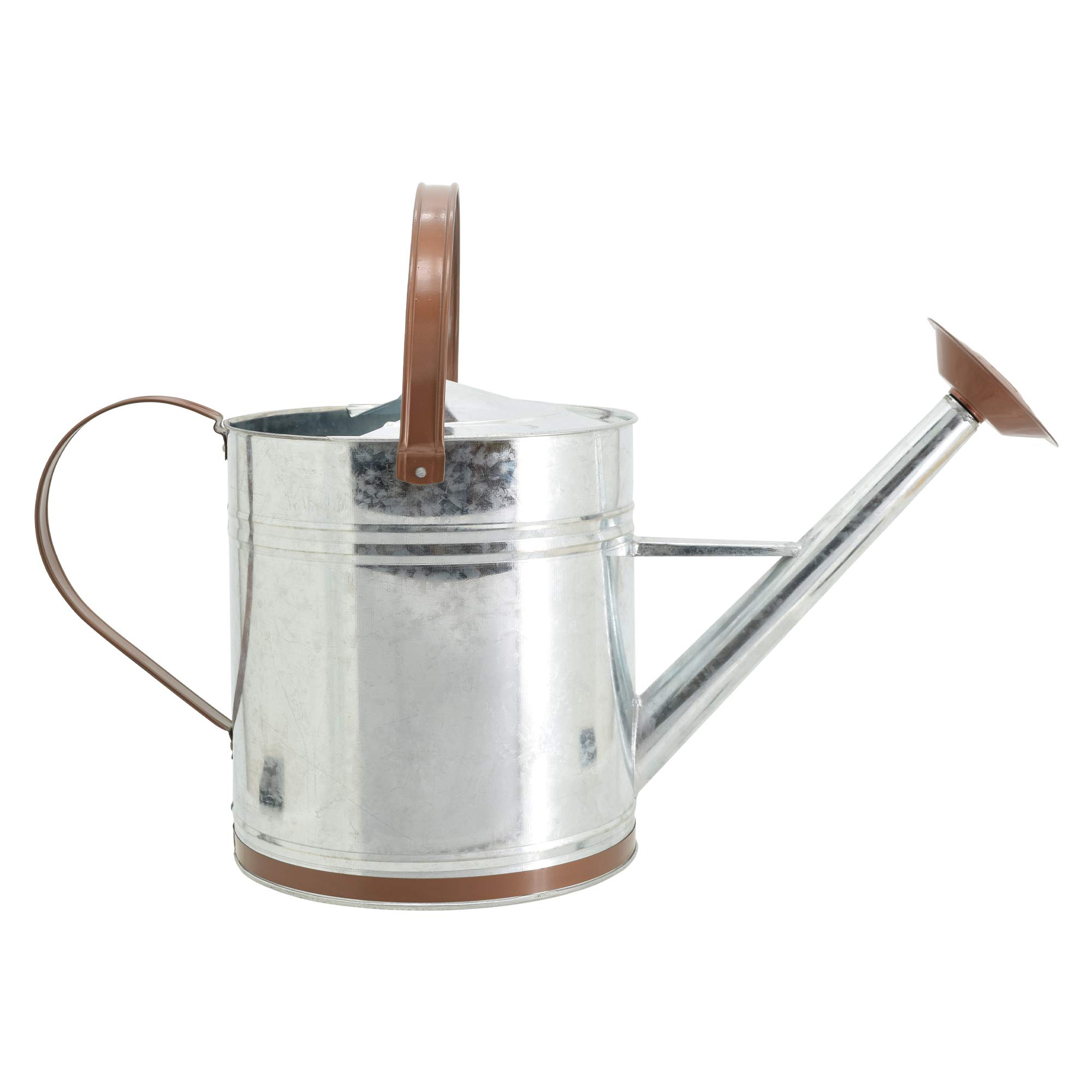 Arcadia Garden Products WC14 Classic Removable Spout, Perfect Watering ...