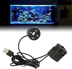 Amazon.com: Submersible Fountain Water Pump, Silent Mini Fountain Pump ...
