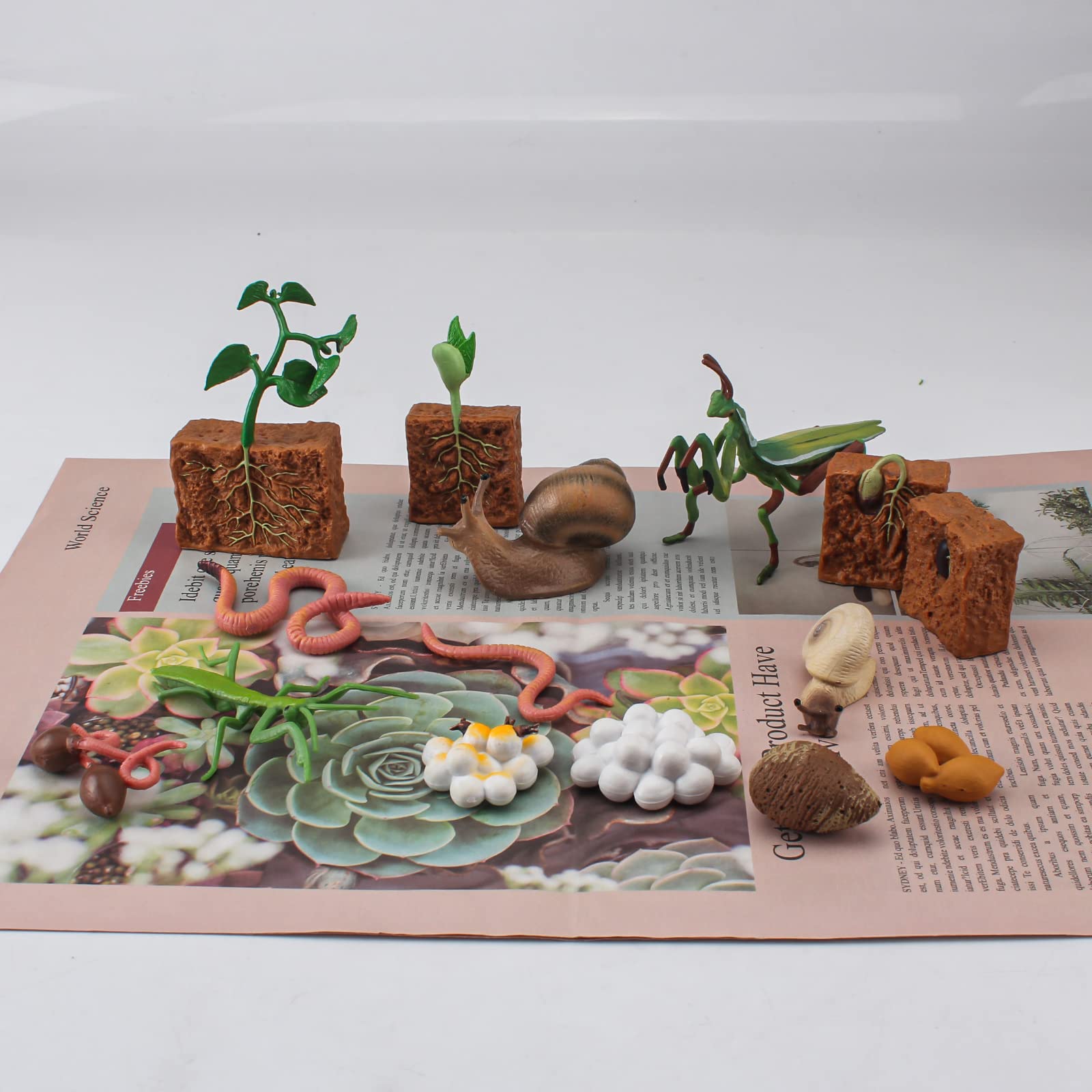 Snapklik.com : WONWONTOYS Farm Animals Figurines Life Growth Cycle Of ...