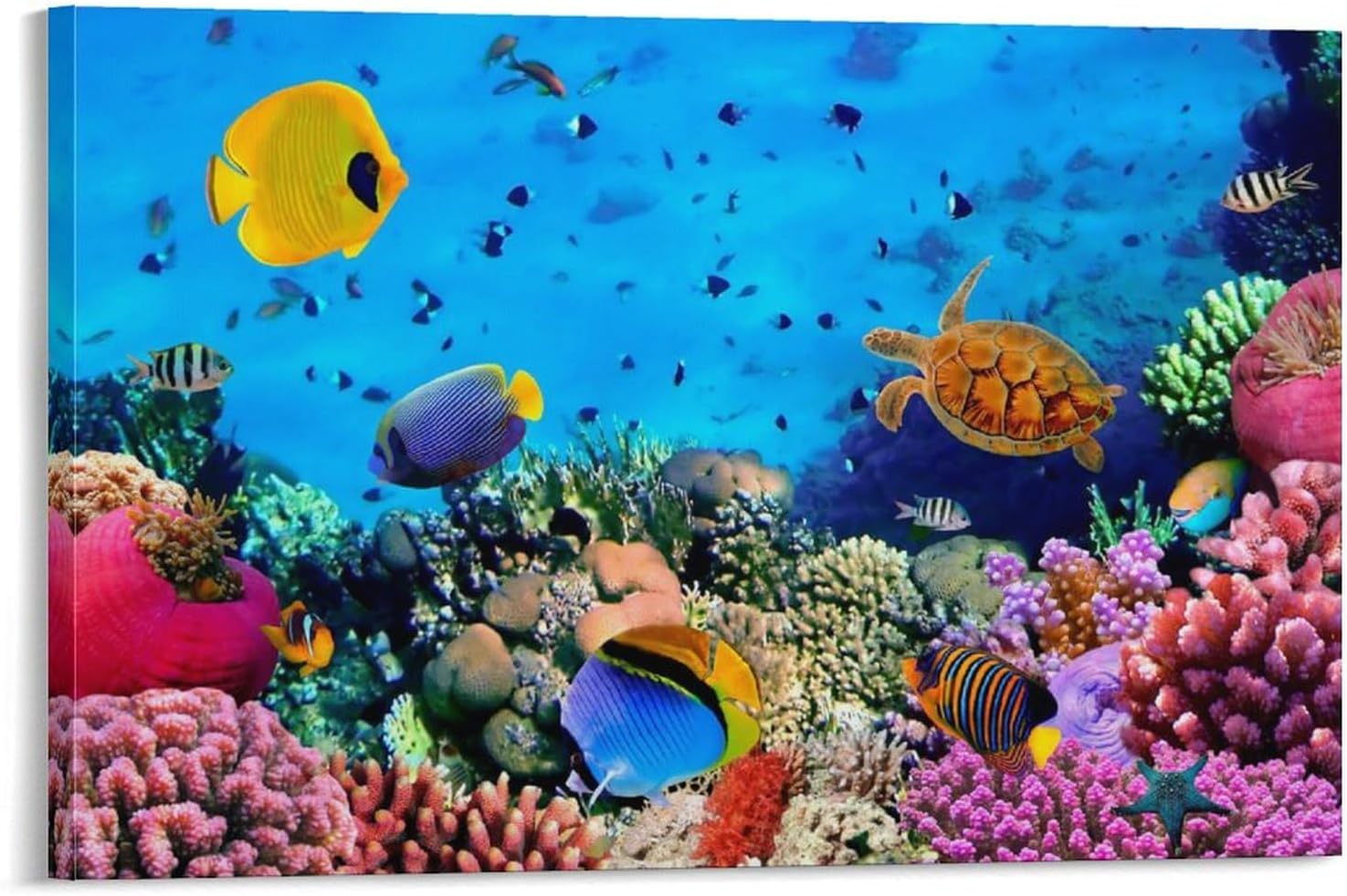 Amazon.com: Ocean Fish Canvas Ocean Nursery Ocean Wall Art Blue ...