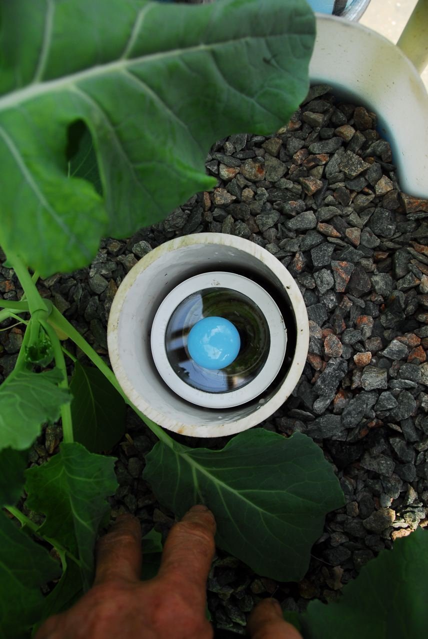 Aquaponics CLEAR TOP Bell Siphon Kit For IBC Growbed with12″ MEDIA ...