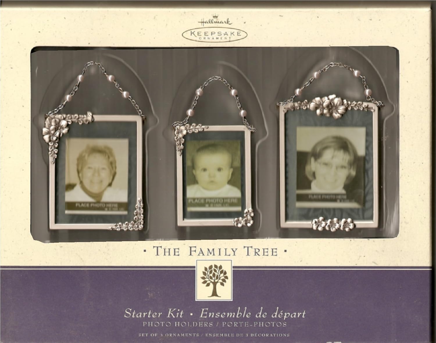 Amazon.com: Hallmark Family Tree Starter Kit Silver Floral (Set of 3 ...