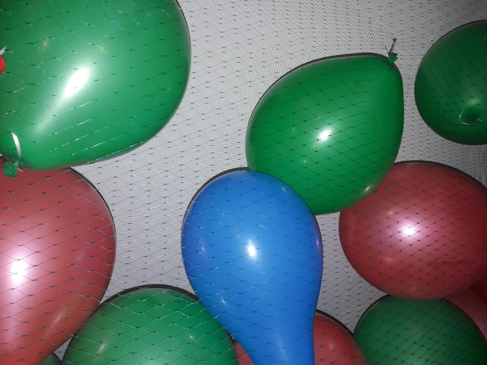 2m x 10m Garden Netting : Amazon.co.uk: Garden