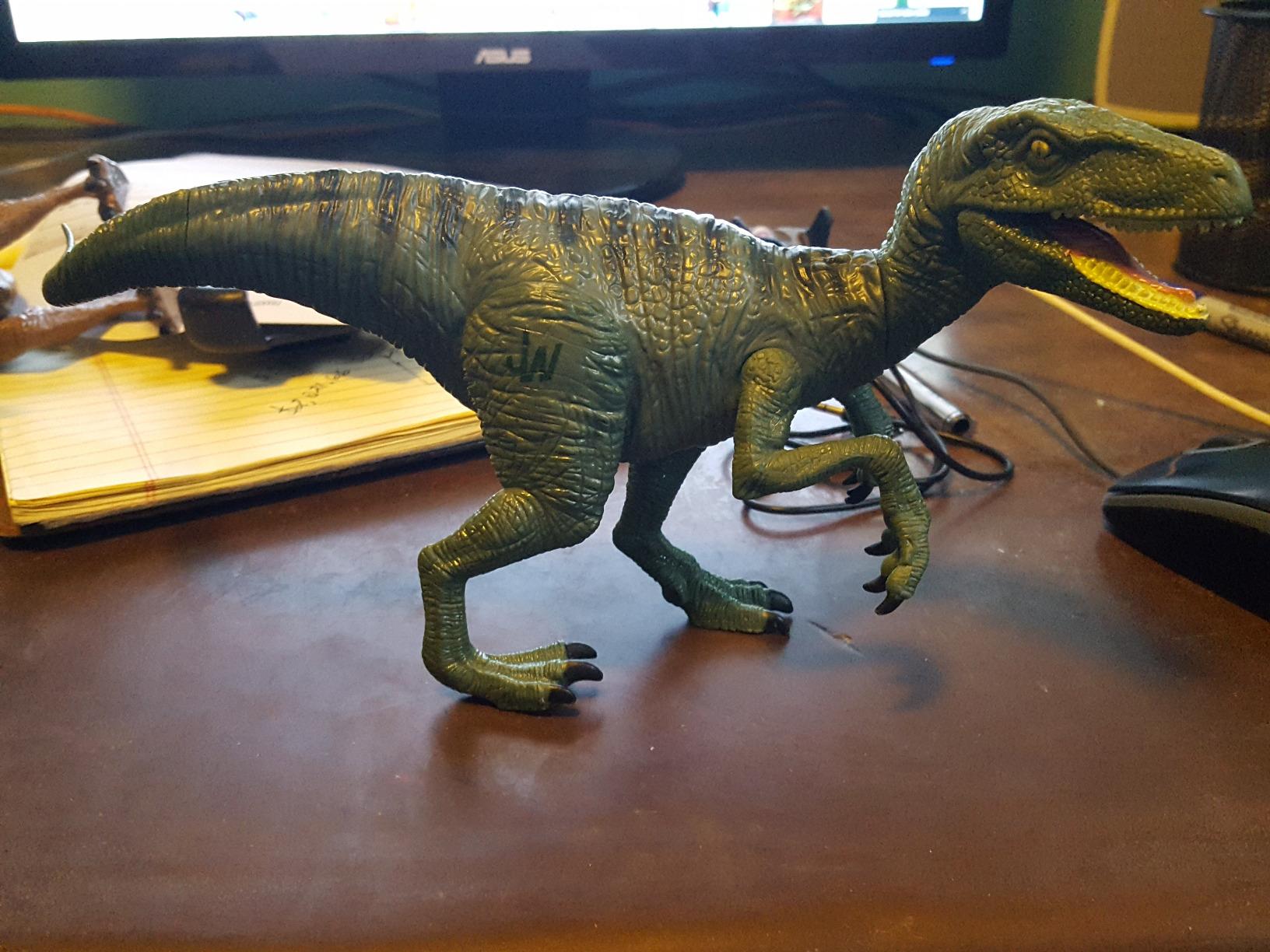Amazon.com: Hasbro Jurassic World Velociraptor Charlie Figure : Toys ...