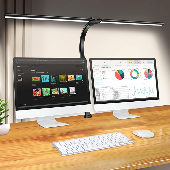 Amazon.com: LeadGoods LED Desk Lamp for Home Office, Double Head LED ...