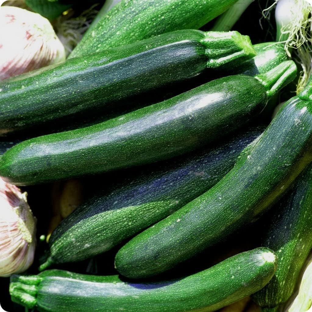 Amazon.com : 25 Black Beauty Zucchini Summer Squash Seeds for Planting ...