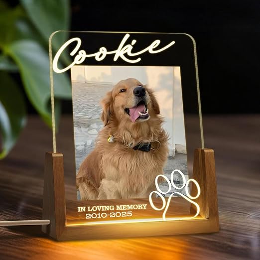 Giantbighands Personalized Pet Memorial LED Night Light, Custom Photo ...