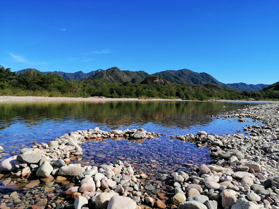 Amazon.com: HENRY GOLDMAN: books, biography, latest update