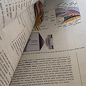 Medical Terminology & Anatomy for Coding: Shiland MS RHIA CCS CHDA CPC ...