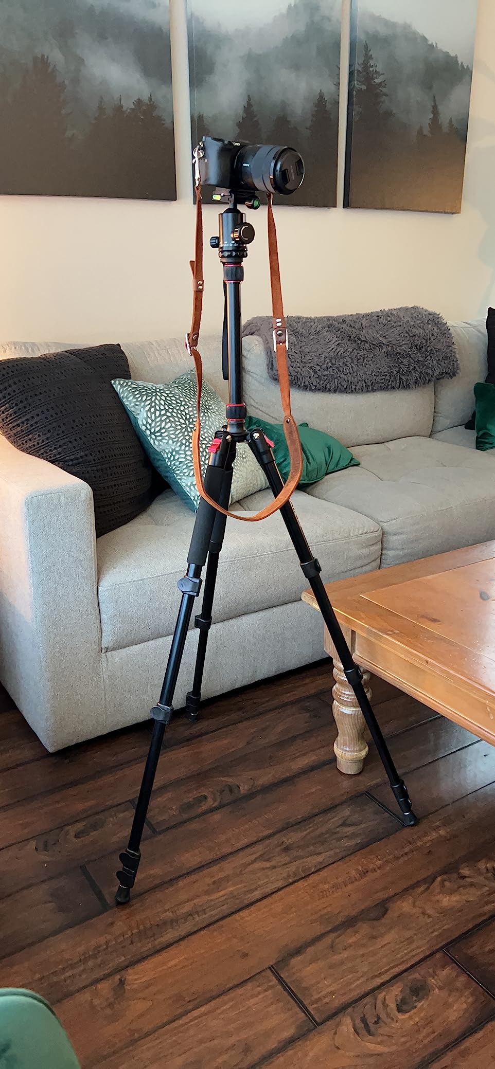 $13/mo - Finance Tripod for Camera, Victiv 81 inch Professional Camera ...