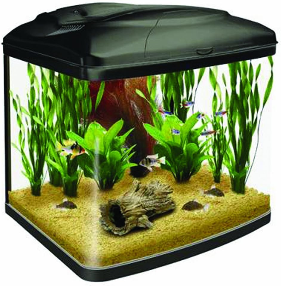 Interpet Fish Pod Glass Aquarium Fish Tank - 48 L : Amazon.co.uk: Pet ...