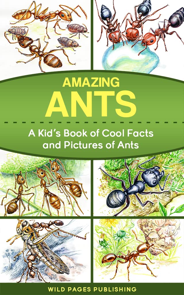 Amazing Ants. A Kid's Book of Cool Facts and Pictures of Ants (Nature ...