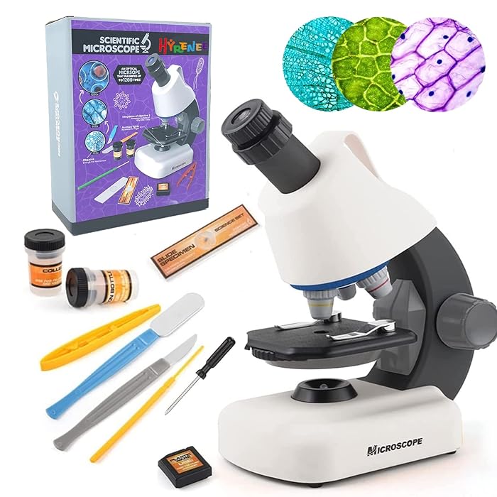 Buy Microscope for Kids - Up to 40-1200x Zoom,STEM Kit with Microscope ...