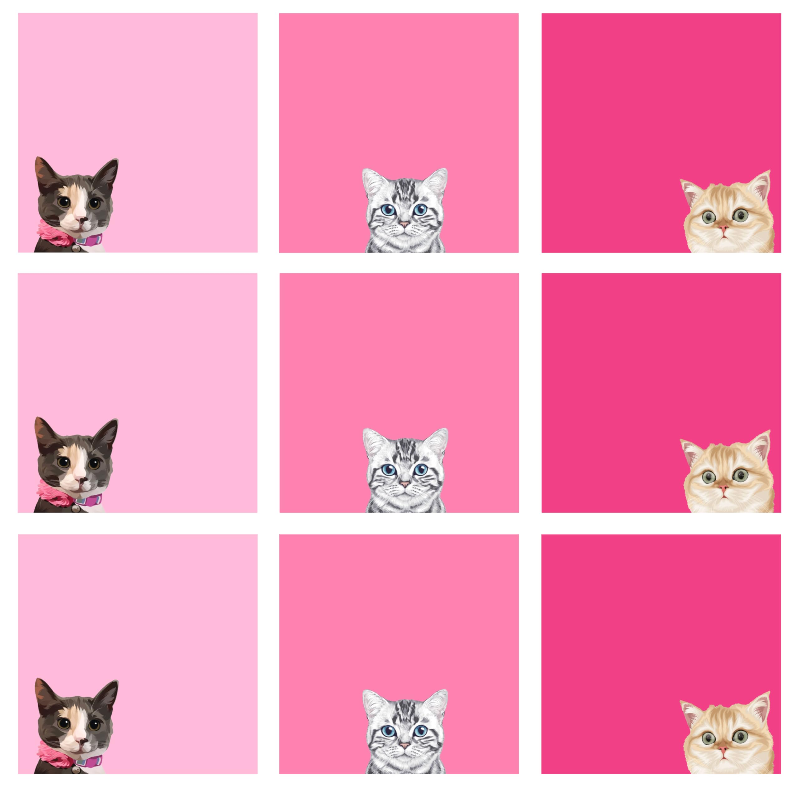 Amazon.com : Adeerus 9 Pads Cat Sticky Notes, Pink Self-Stick Note Pads ...