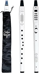 Carry-On 2 Digital 10-Voices Wind Instrument, Black : Amazon.com.au ...
