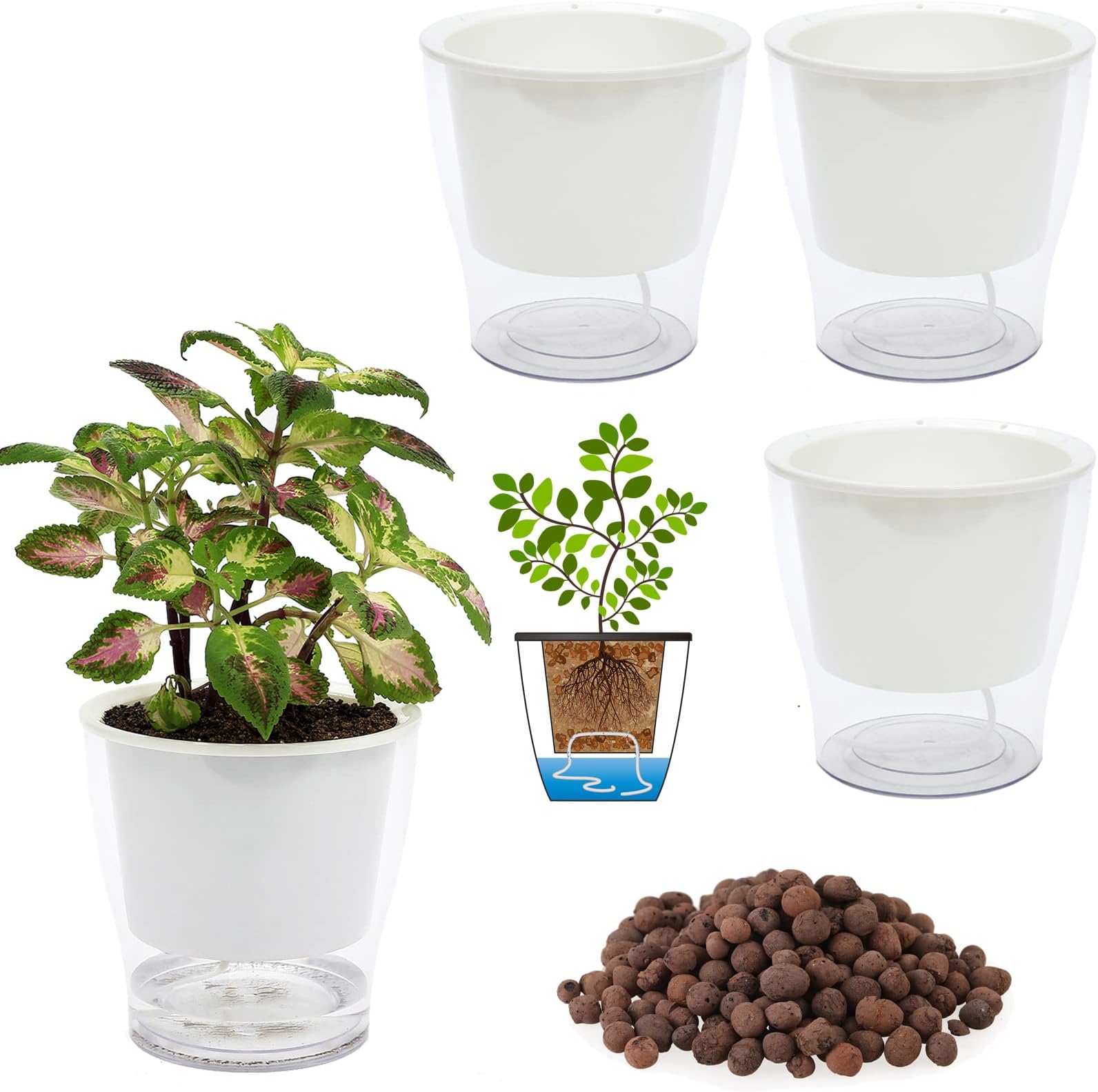 Amazon.com: W&P Hydroponic Gardening Pod Planter | White, 5 Piece ...